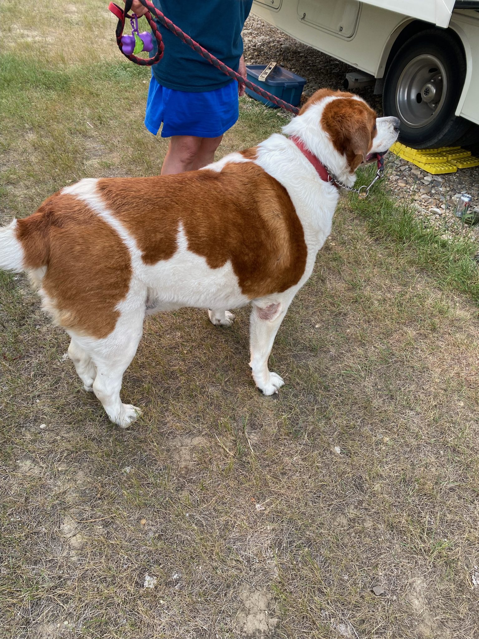 Guests | Kilton Hill Campground - Swift Current Camping